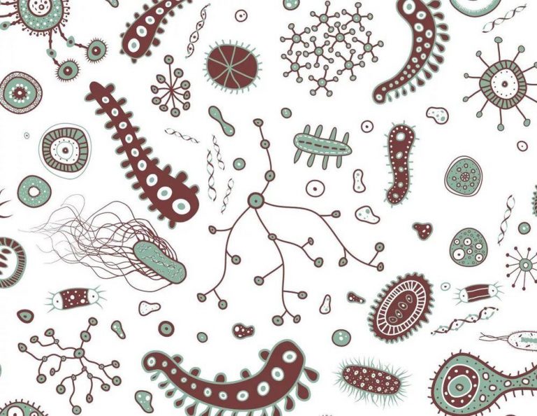 Diagnosis of parasites in the body